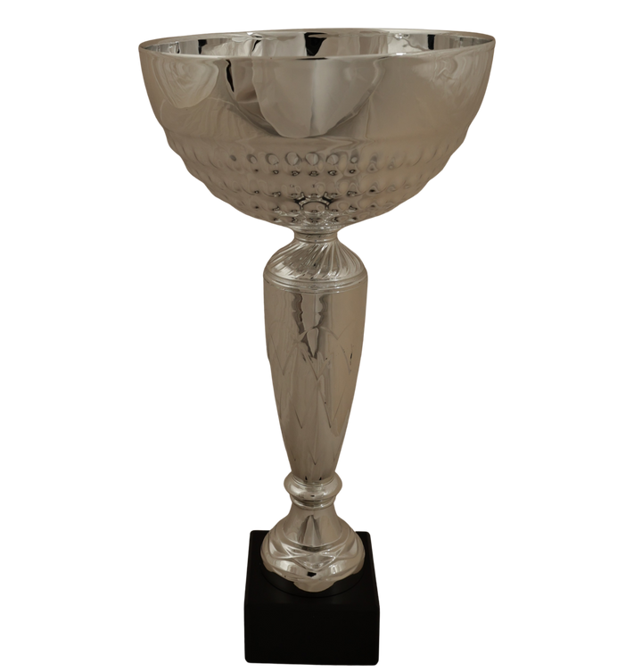 TopTrophy Sàrl – Spécialiste des trophées en Suisse